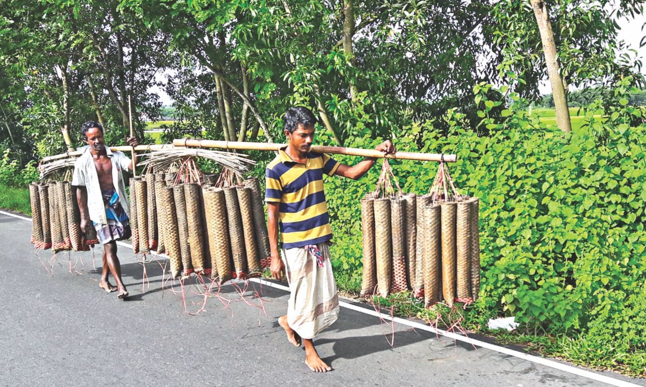 Today's Gallery (2016.10.22) | The Daily Star